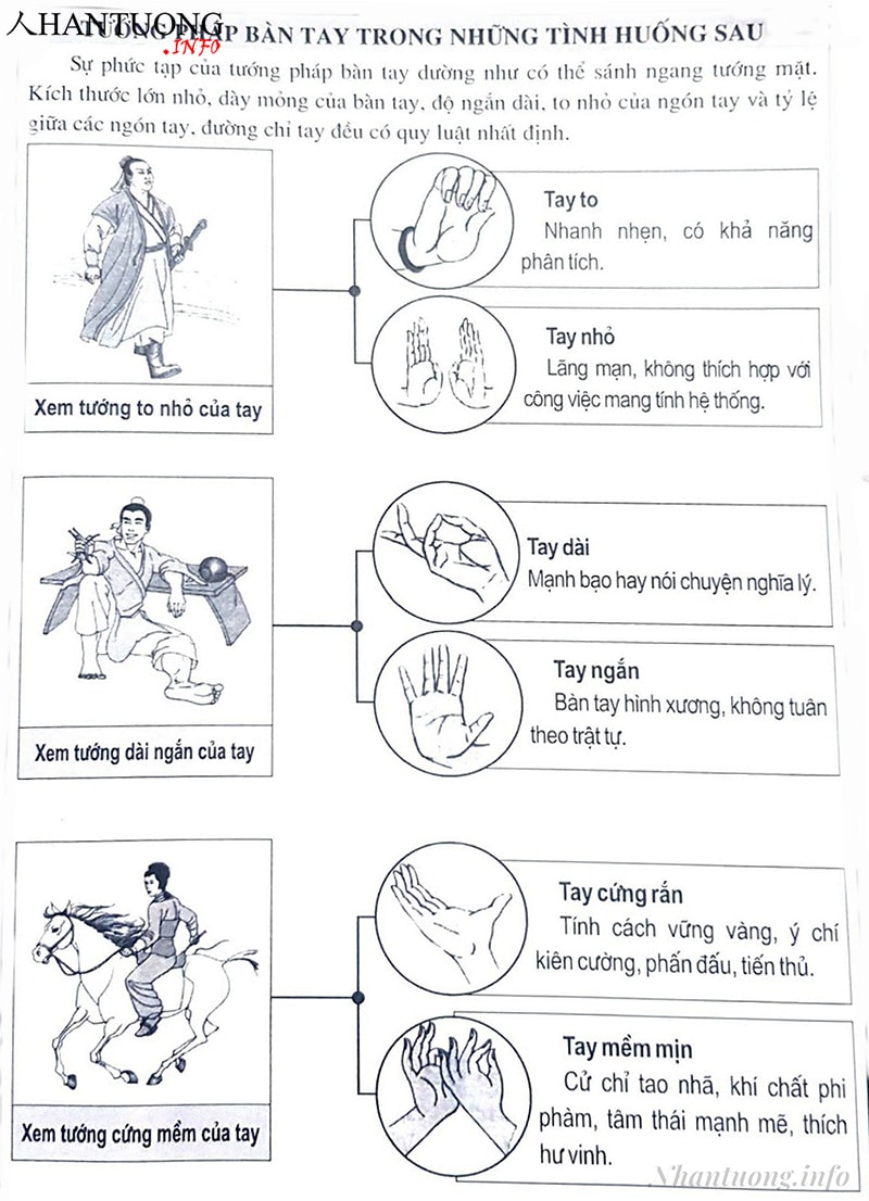 Các kiểu bàn tay - xem ý nghĩa, luận tính cách, vận mệnh tương lai