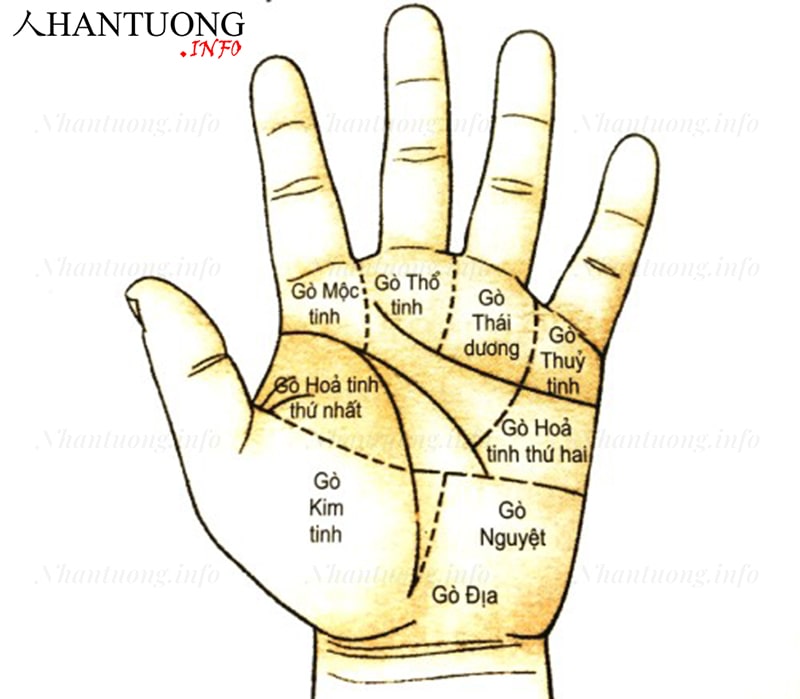 Đường hôn nhân nam nữ - Đường chỉ tay vợ chồng trên bàn tay