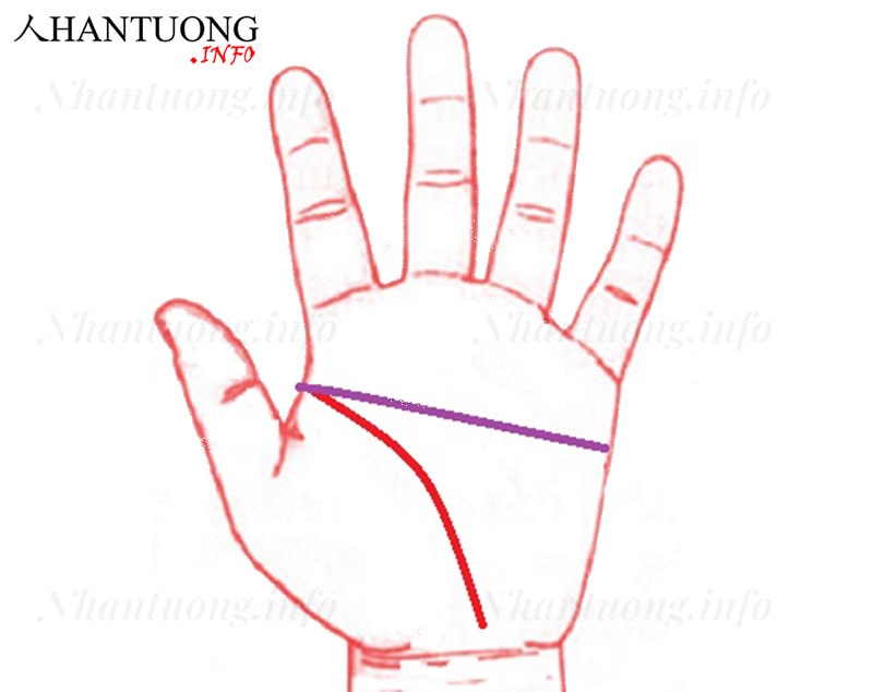 Đường chỉ tay chữ nhất - Bàn tay chỉ có 2 đường có ý nghĩa gì